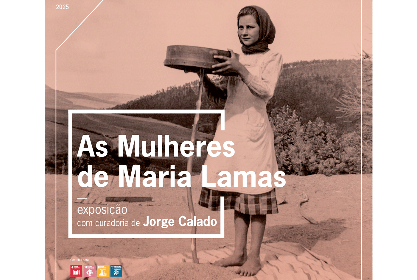 «As Mulheres de Maria Lamas» no Museu Municipal Carlos Reis em Torres ...